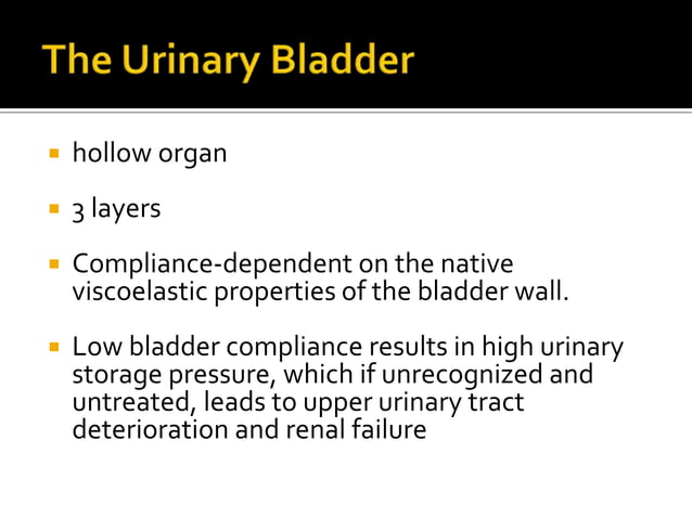 bladder physiology.pptx | Brain and Nervous System Disorders | Diseases ...