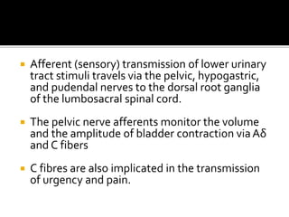bladder physiology.pptx