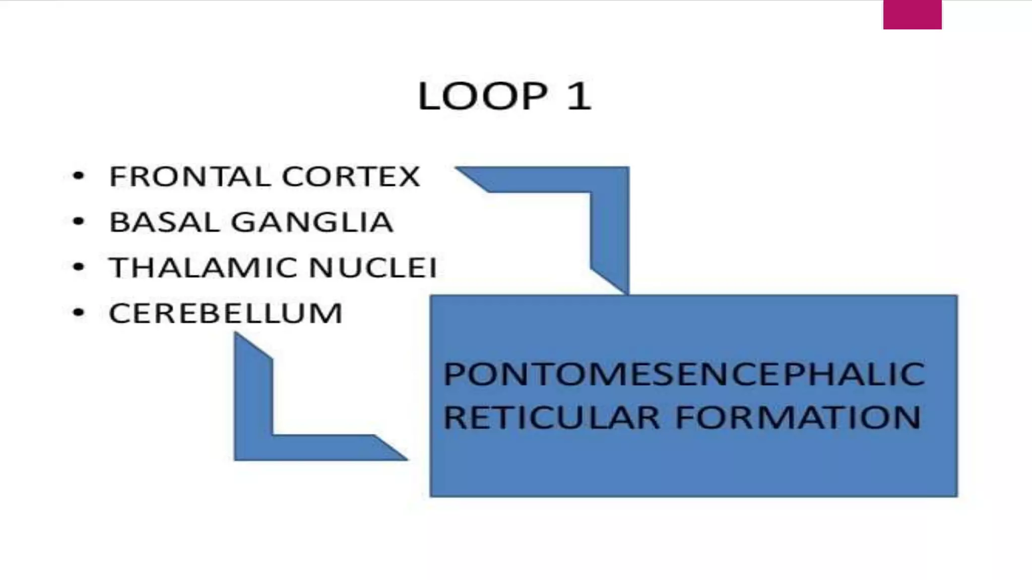 BLADDER PHYSIOLOGY AND DISORDERS-1.pptx