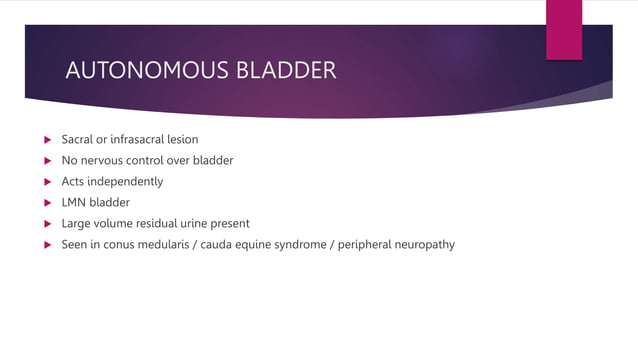 BLADDER PHYSIOLOGY AND DISORDERS-1.pptx | Physical Therapy | Wellness