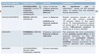 BLADDER PHYSIOLOGY AND DISORDERS-1.pptx