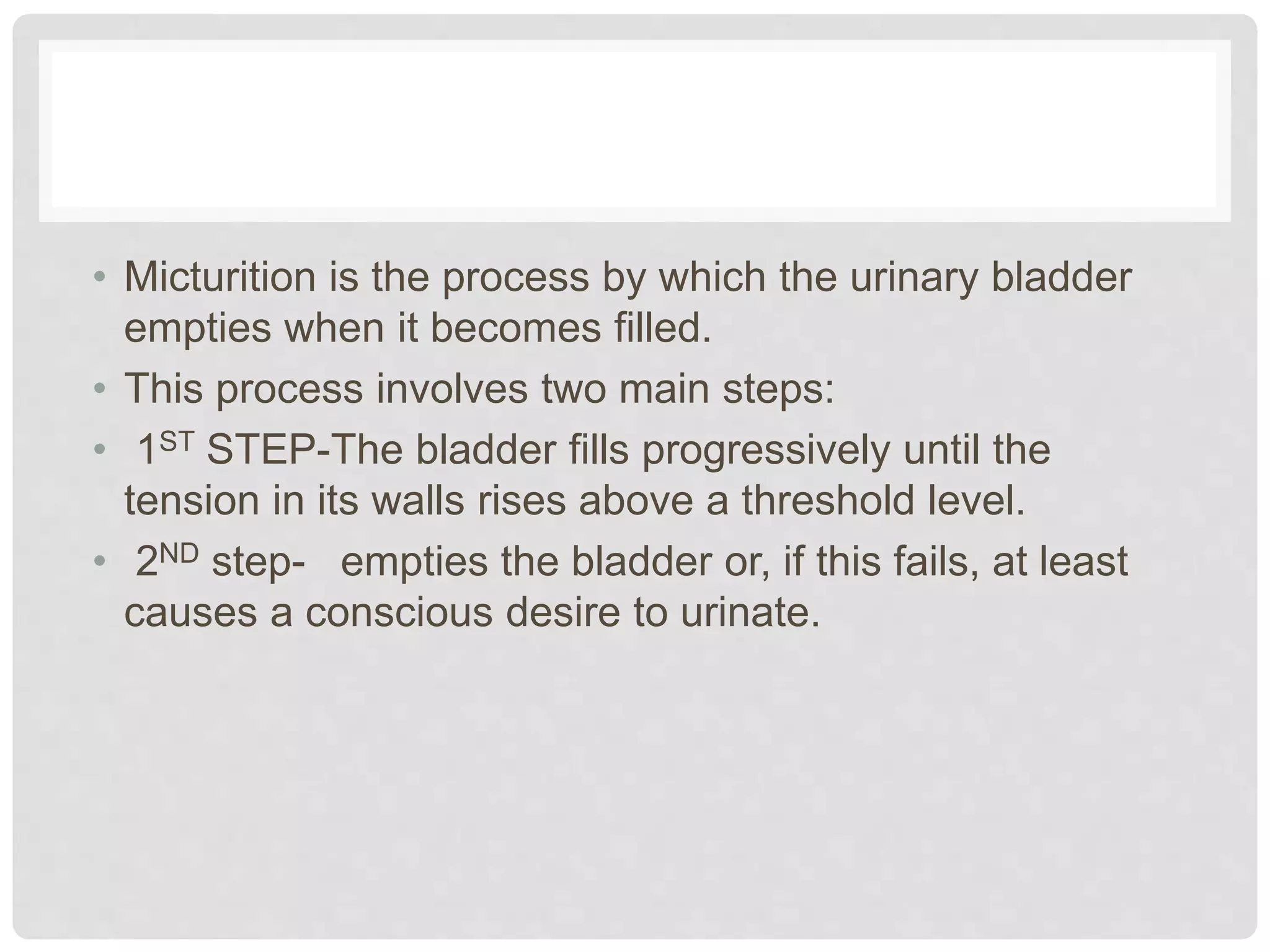 Bladder ppt | PPT