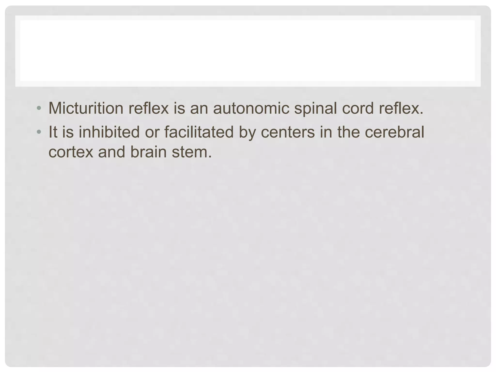 Bladder Ppt Ppt 1077