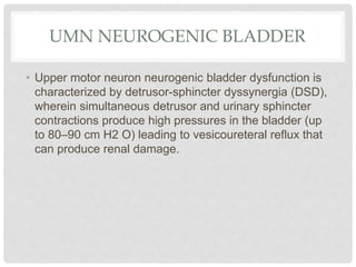 Bladder ppt | PPTX