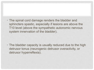 Bladder ppt | PPTX
