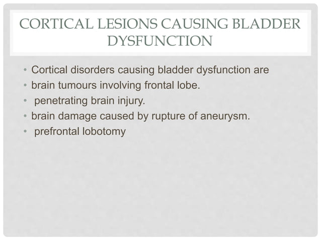 Bladder Ppt Ppt 8672