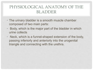 Bladder ppt | PPTX