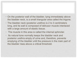Bladder ppt | PPTX