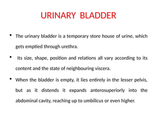Bladder innervensions and types of bladder | PPTX