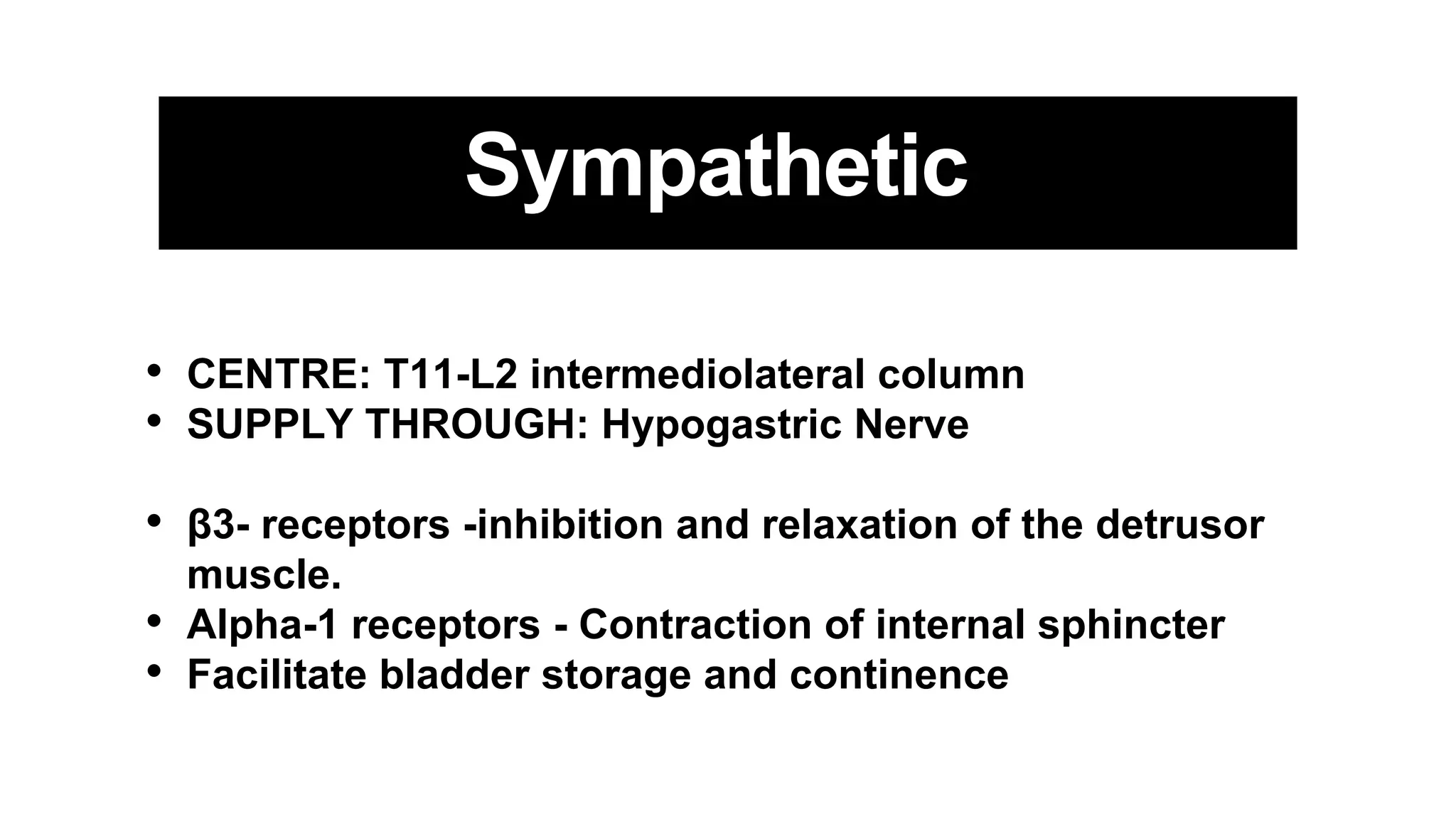 Urinary Bladder neurology presentation.pptx