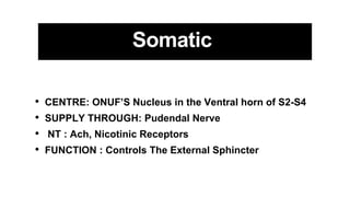 Urinary Bladder neurology presentation.pptx
