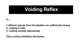 Urinary Bladder neurology presentation.pptx