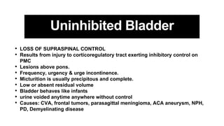 Urinary Bladder neurology presentation.pptx