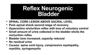 Urinary Bladder neurology presentation.pptx