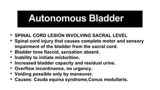 Urinary Bladder neurology presentation.pptx