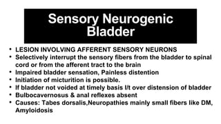 Urinary Bladder neurology presentation.pptx