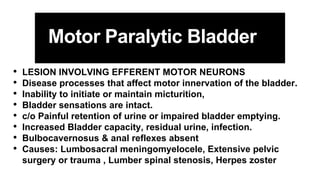 Urinary Bladder neurology presentation.pptx