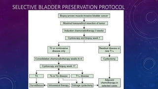 Bladder preservation for CA Urinary Bladder | PPTX