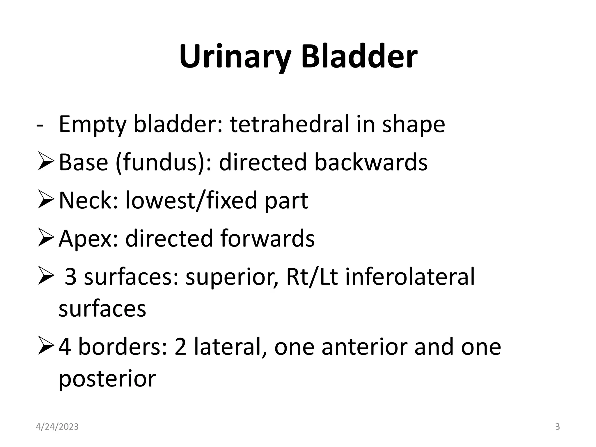 bladder, Prostate, Urethra.pptx