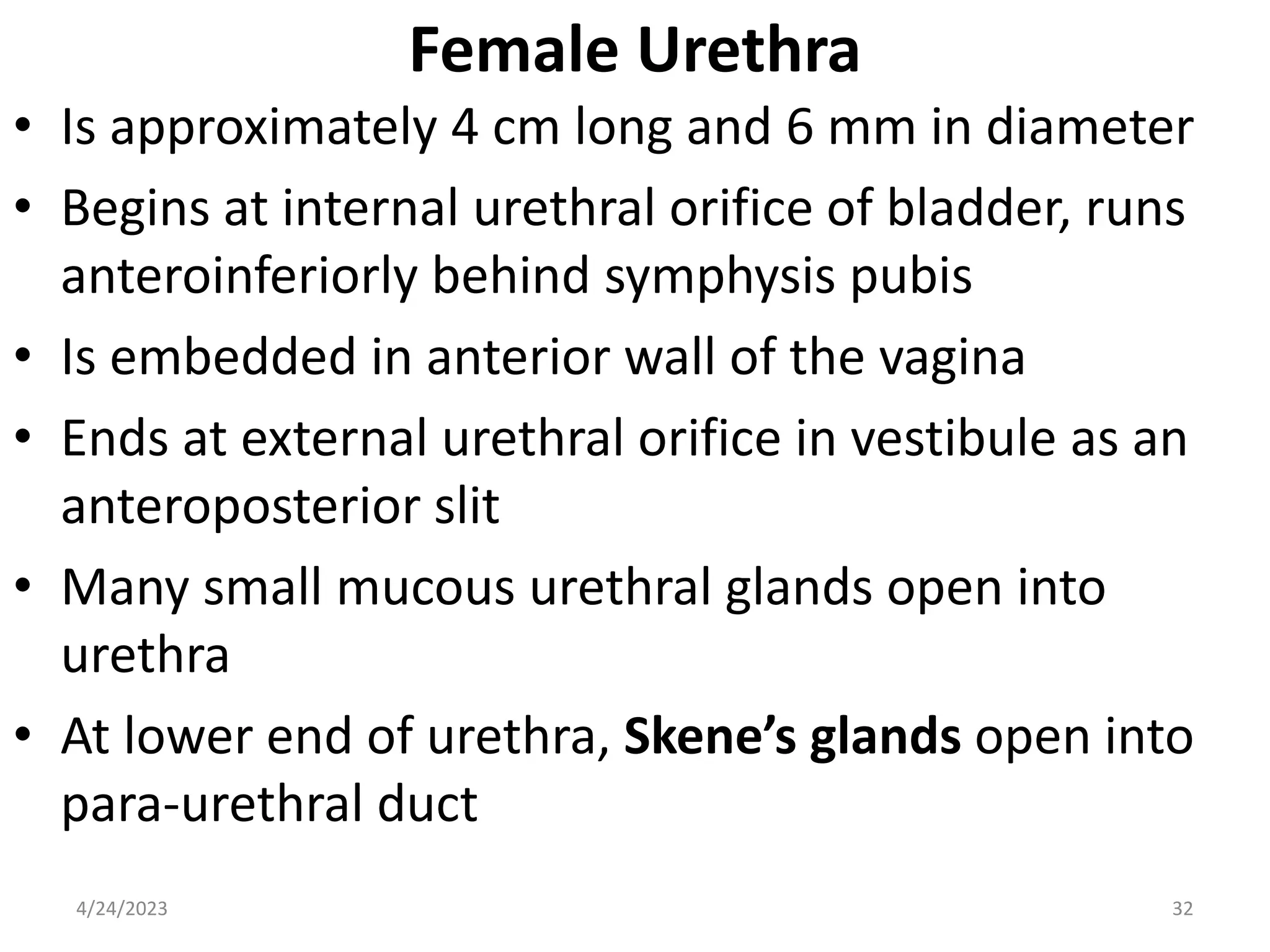 bladder, Prostate, Urethra.pptx