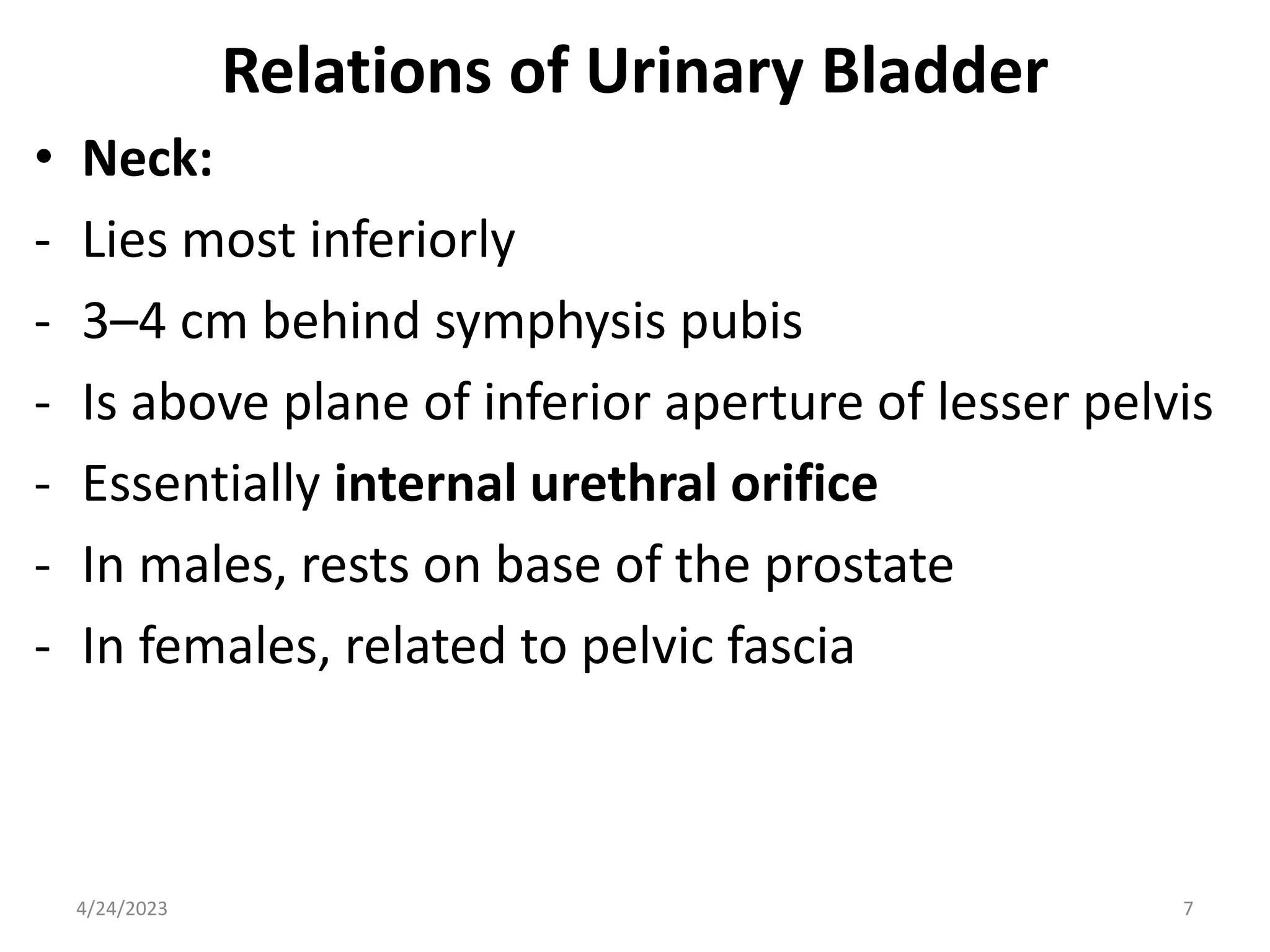 bladder, Prostate, Urethra.pptx