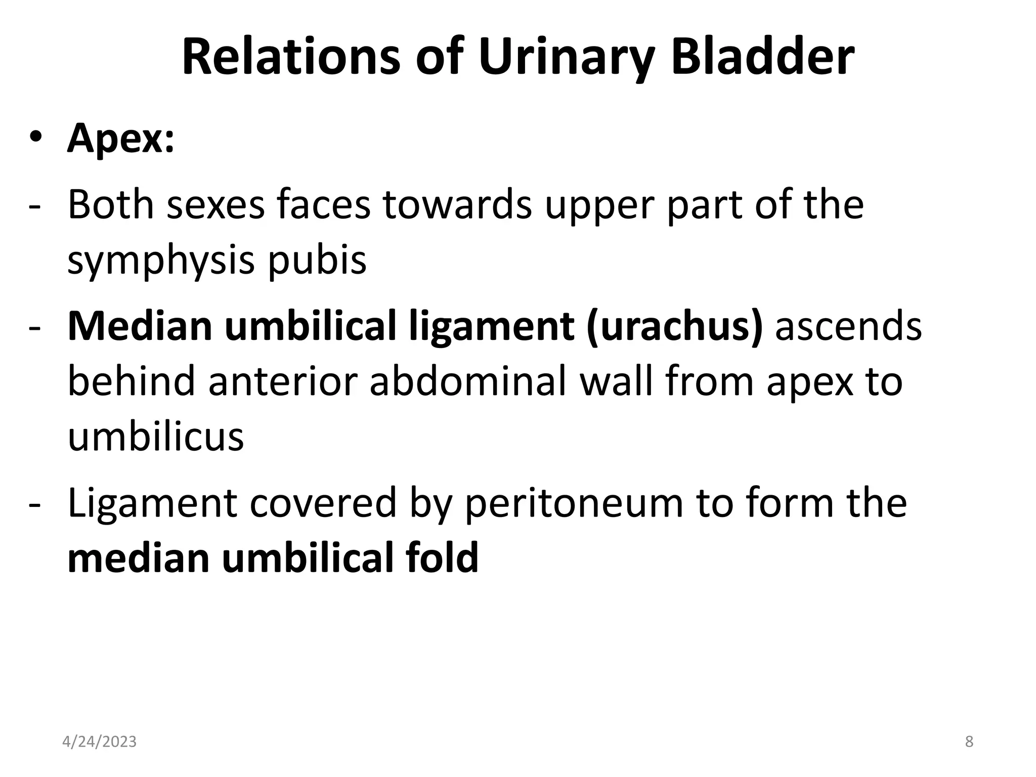 bladder, Prostate, Urethra.pptx