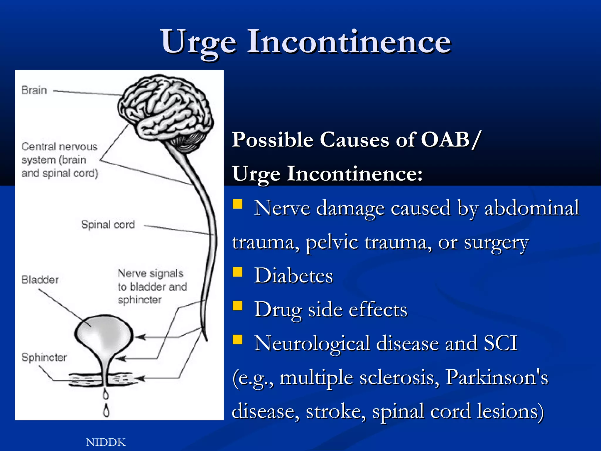Bladder Retraining | PPT