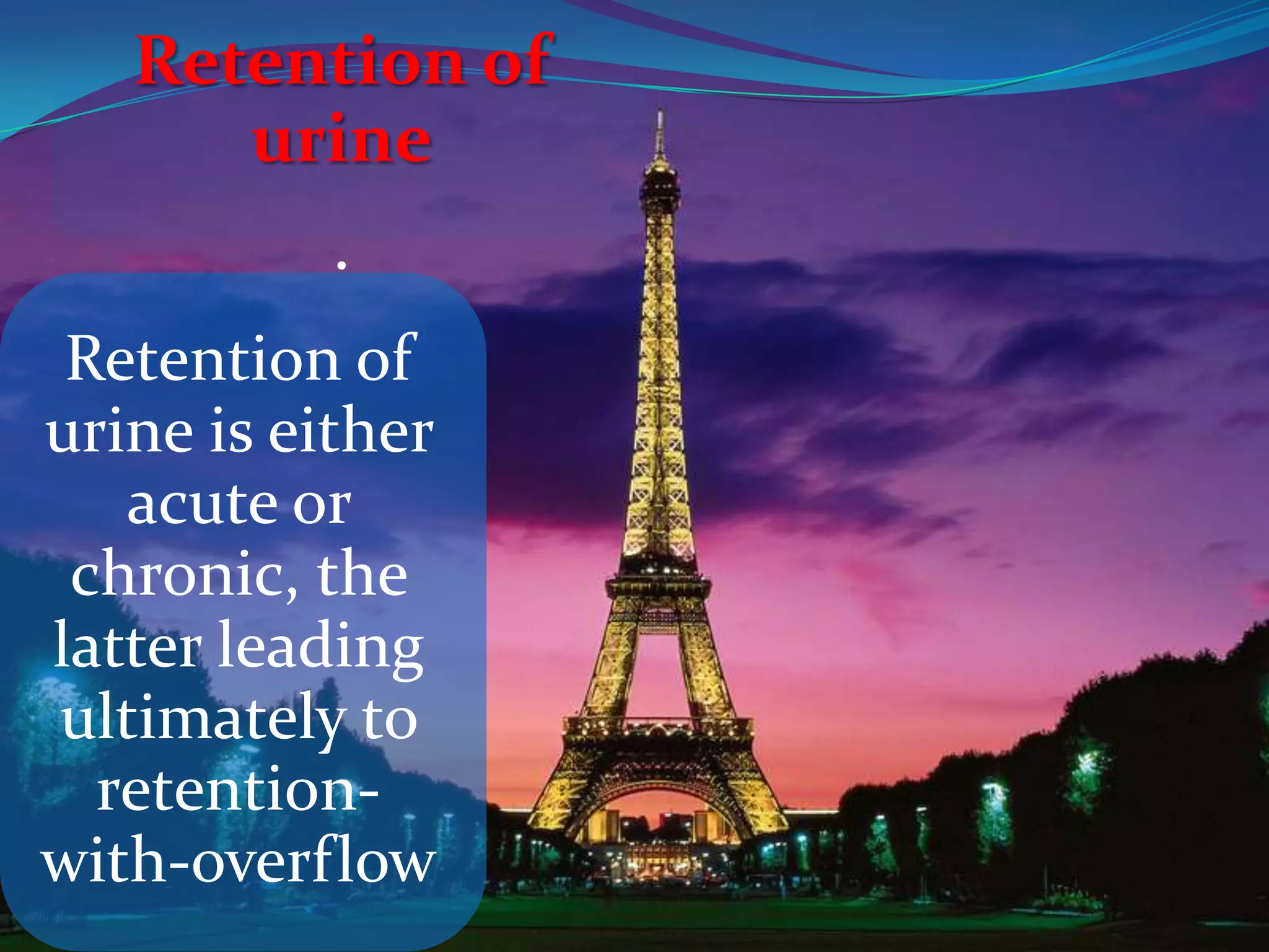 urology.Bladder rupture,urine retention.(dr.ali kamal) | PPTX