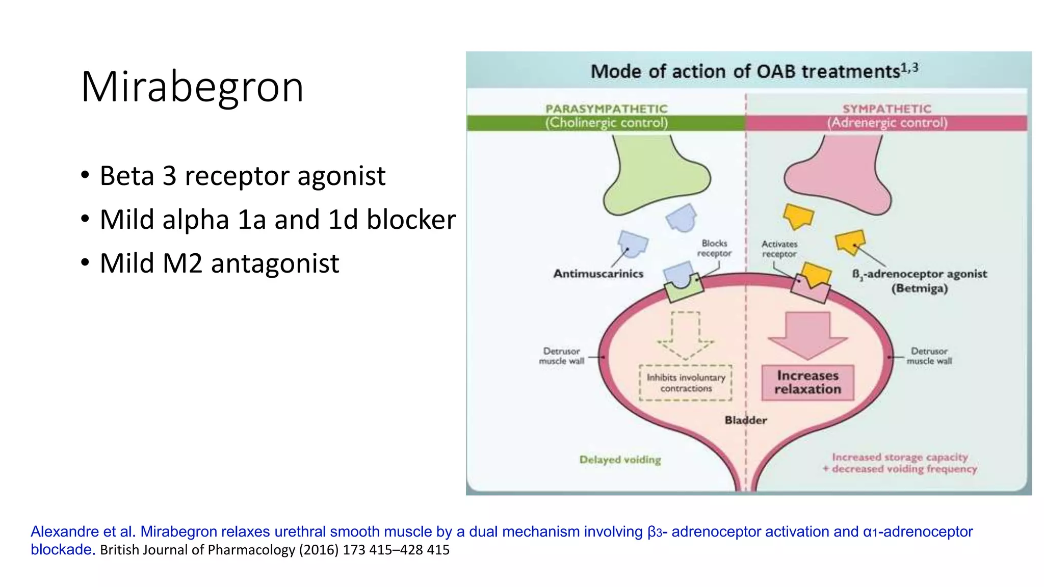 Bladder sedatives mirabegron vs antimuscarinics in overactive bladder ...