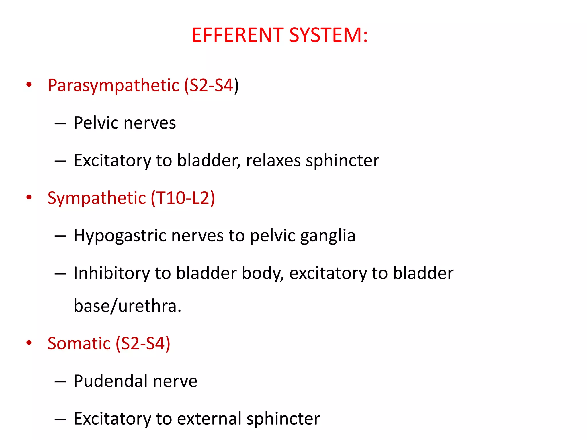 urinary bladder innervation and syndromes | PPTX