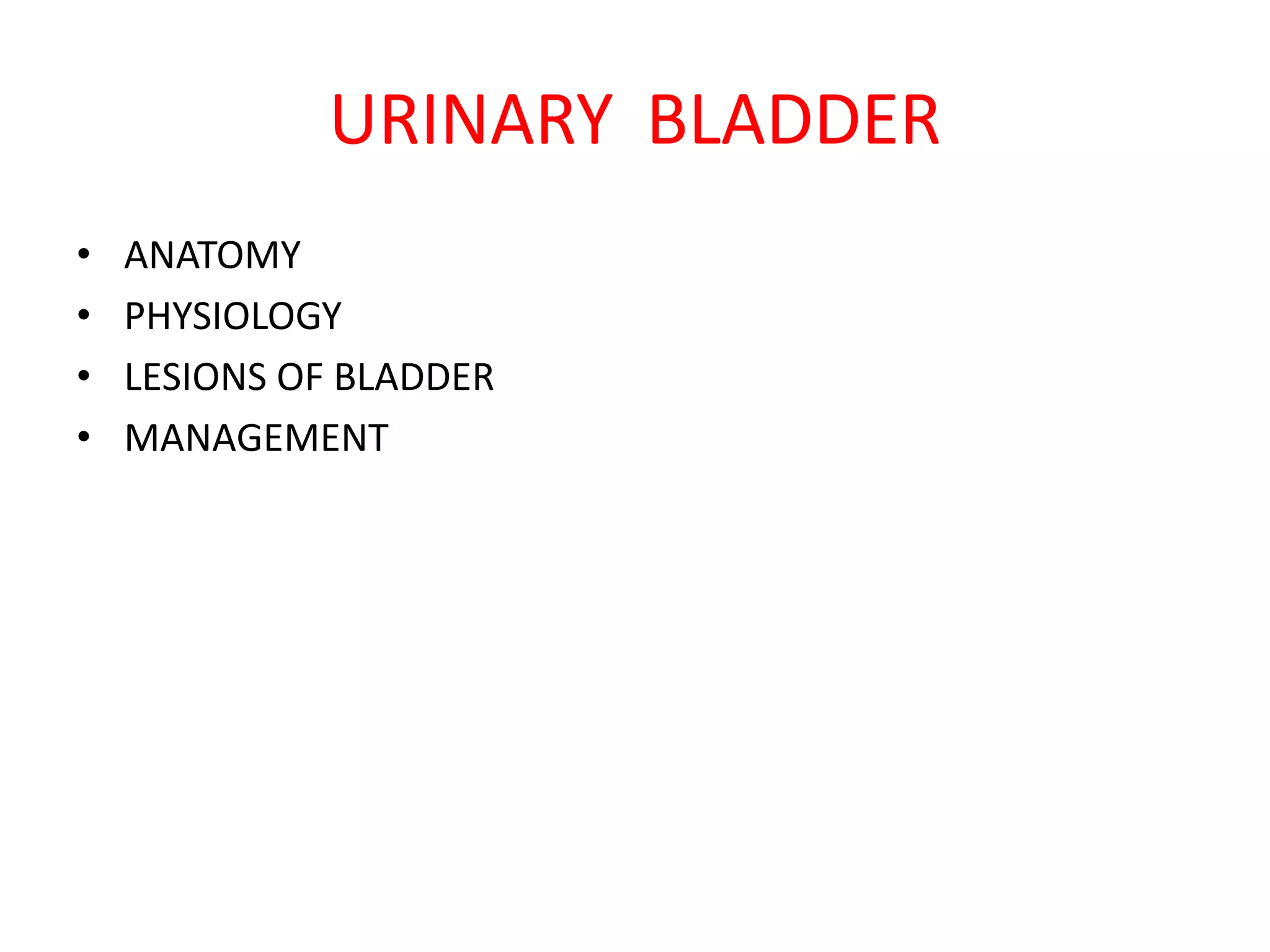 urinary bladder innervation and syndromes | PPTX