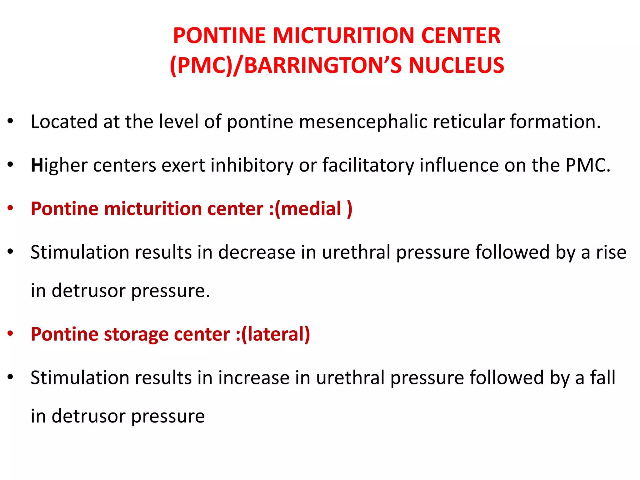 urinary bladder innervation and syndromes | PPTX