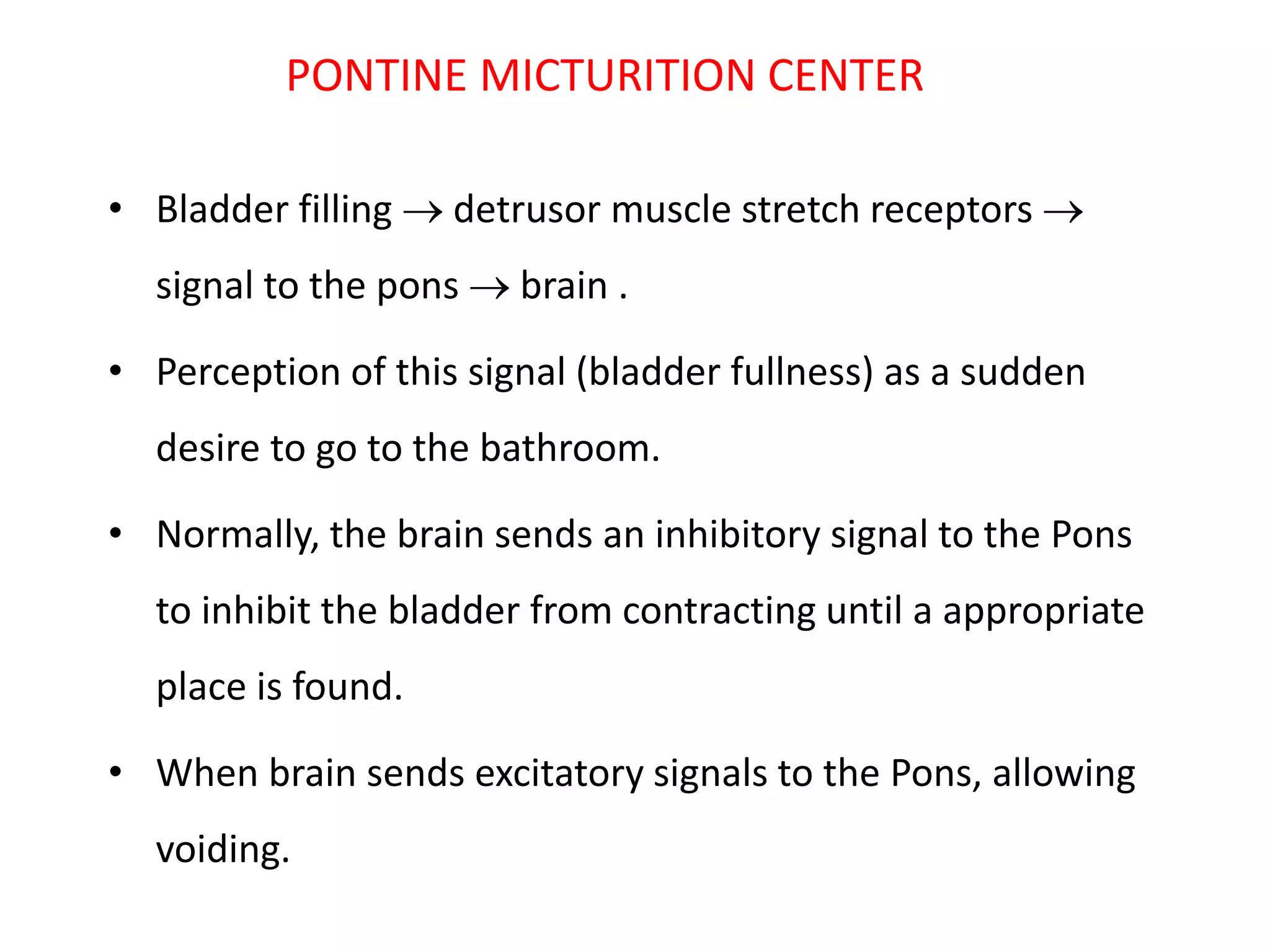 urinary bladder innervation and syndromes | PPTX