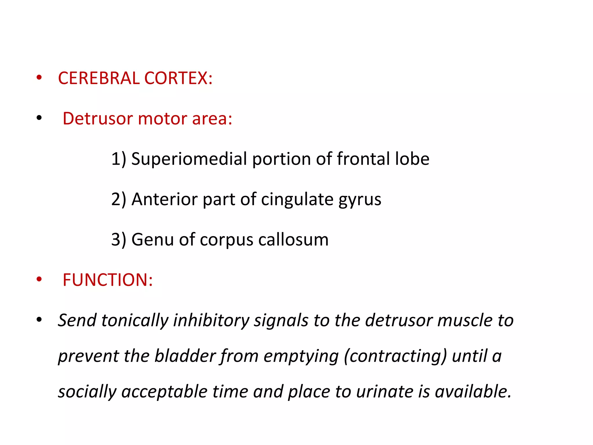 urinary bladder innervation and syndromes | PPTX