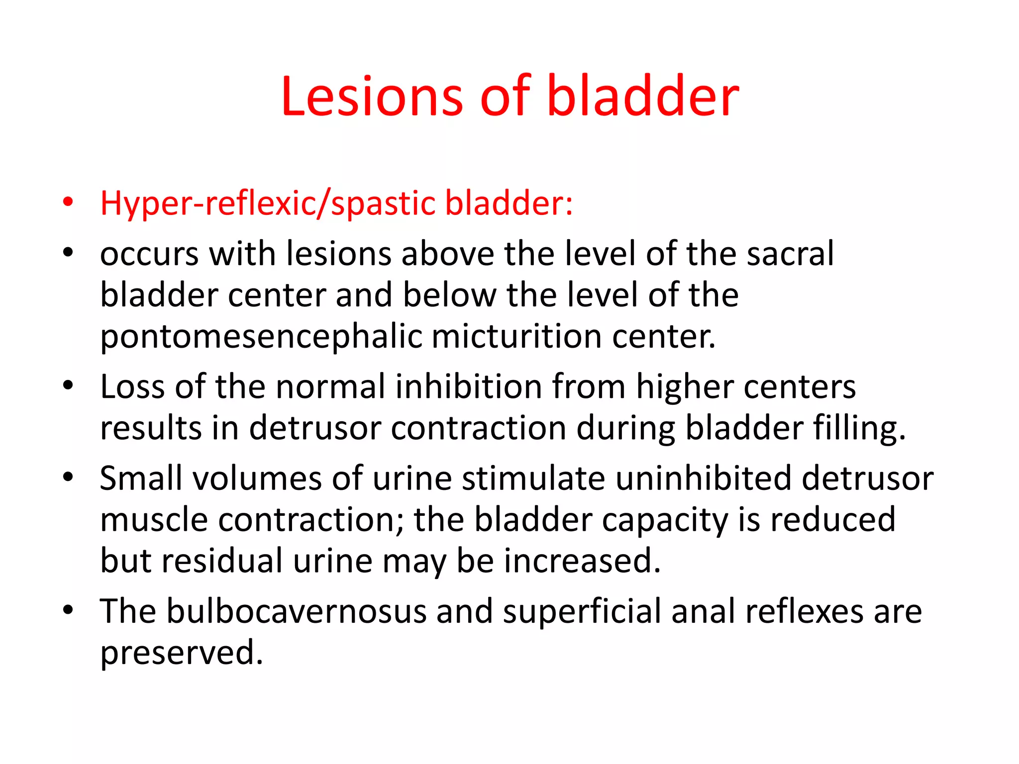 urinary bladder innervation and syndromes | PPTX