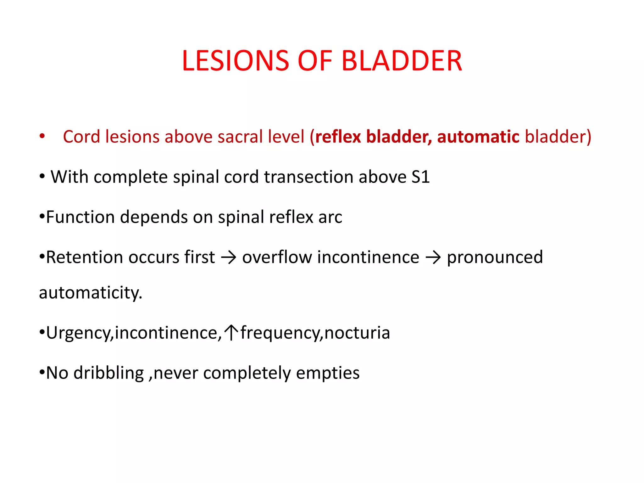 urinary bladder innervation and syndromes | PPTX