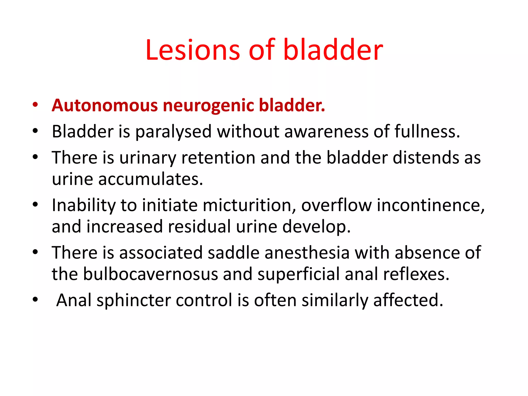 urinary bladder innervation and syndromes | PPTX
