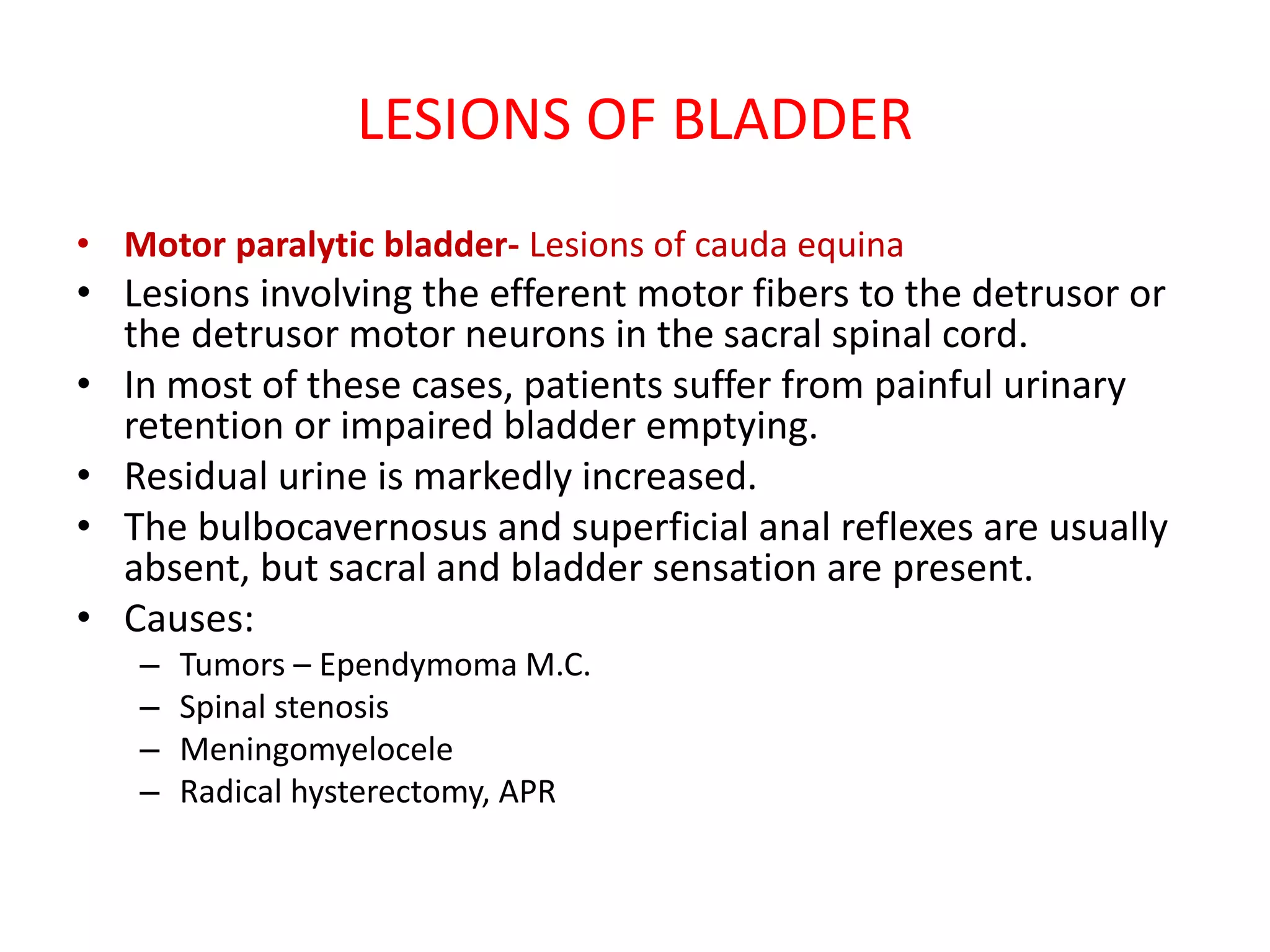 urinary bladder innervation and syndromes | PPTX