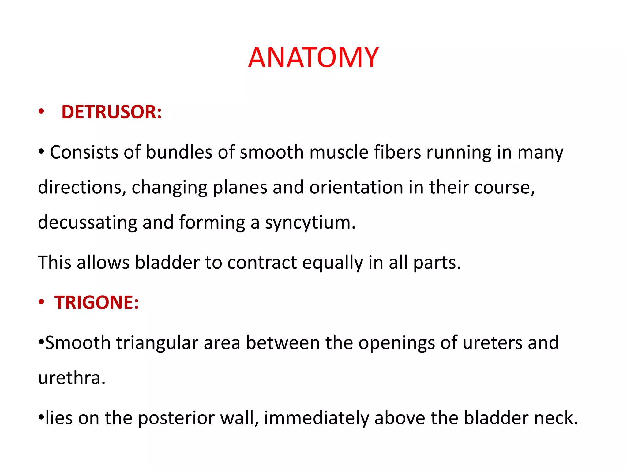 urinary bladder innervation and syndromes | PPTX