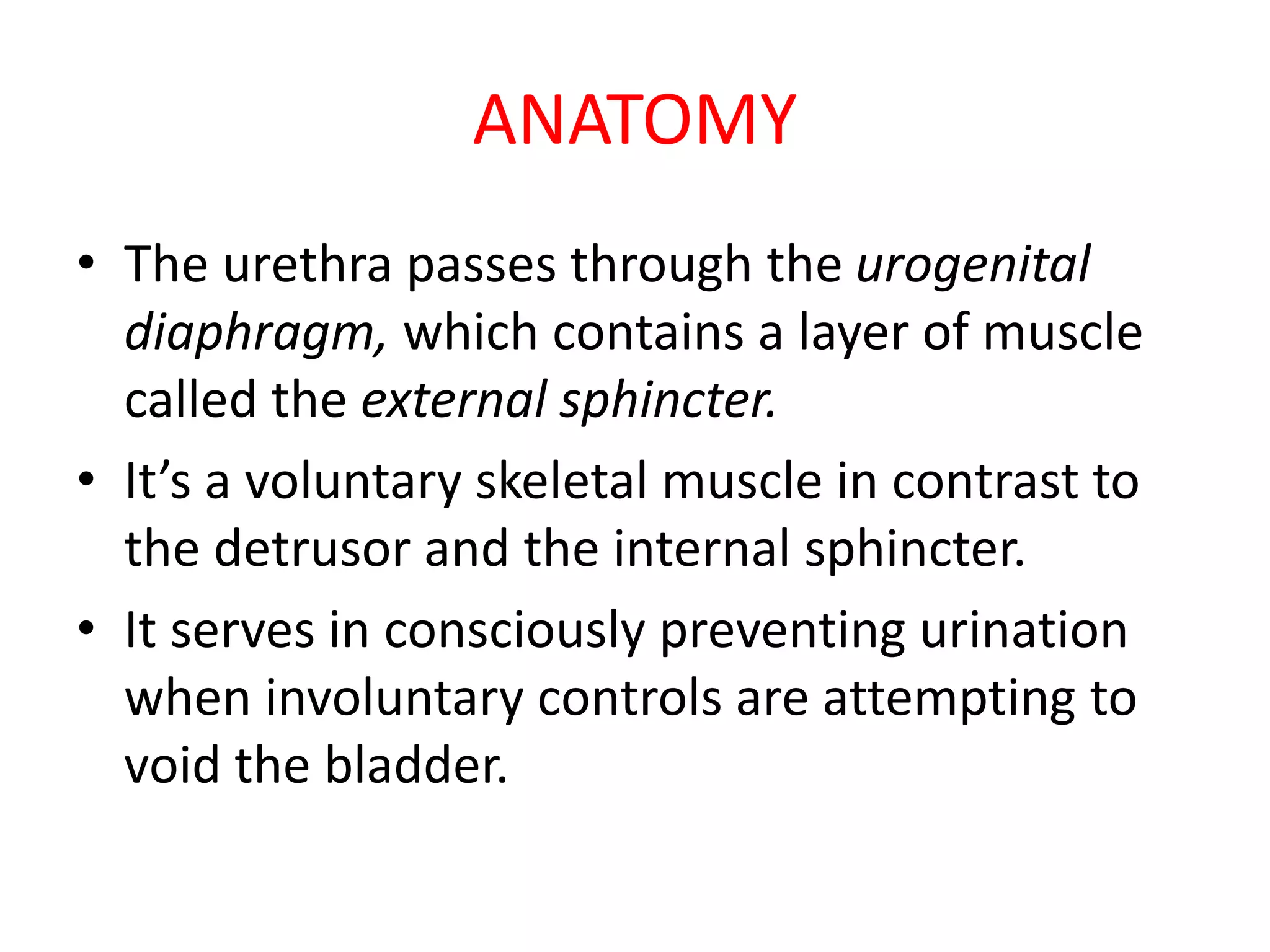 urinary bladder innervation and syndromes | PPTX