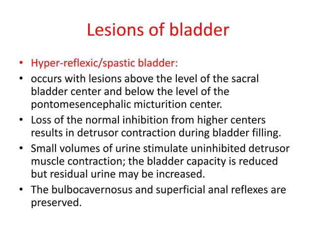 urinary bladder innervation and syndromes | PPTX | Brain and Nervous ...