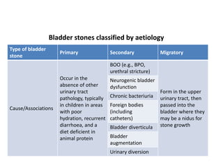 Bladder Stone.pptx