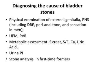 Bladder Stone.pptx