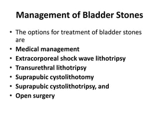 Bladder Stone.pptx