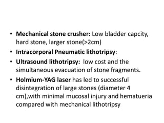 Bladder Stone.pptx
