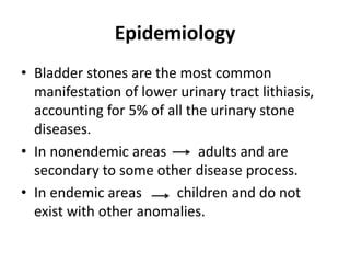 Bladder Stone.pptx