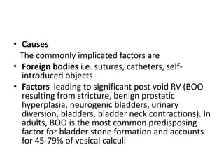 Bladder Stone.pptx