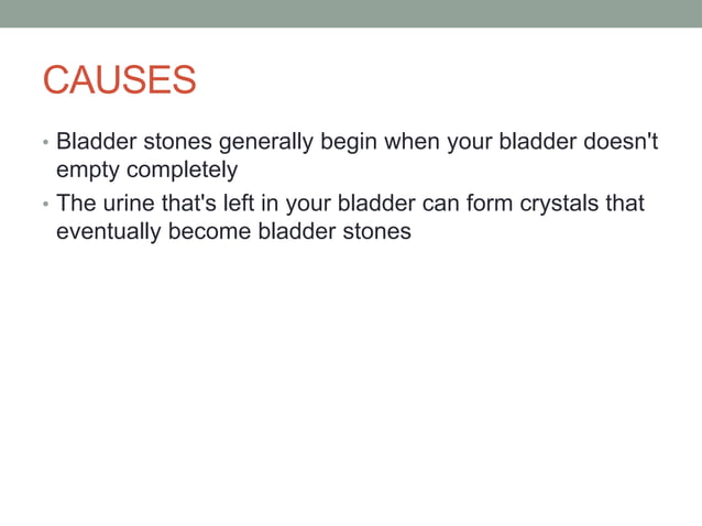 Bladder stones | PPTX