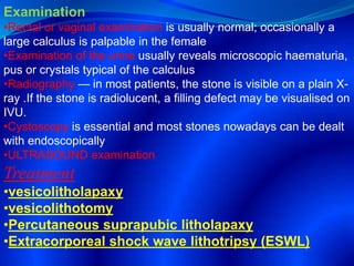 Bladder stones,fistula,diverticulum | PPTX | Digestive Disorders ...