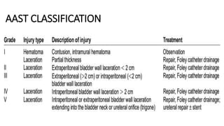 Bladder Trauma.pptx